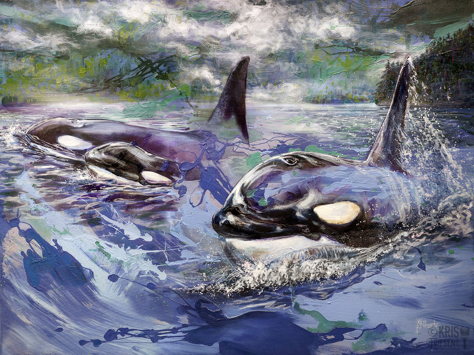 Orca Family in Mist Acrylic Painting - Kris Friesen Canadian Mural & Wildlife Artist